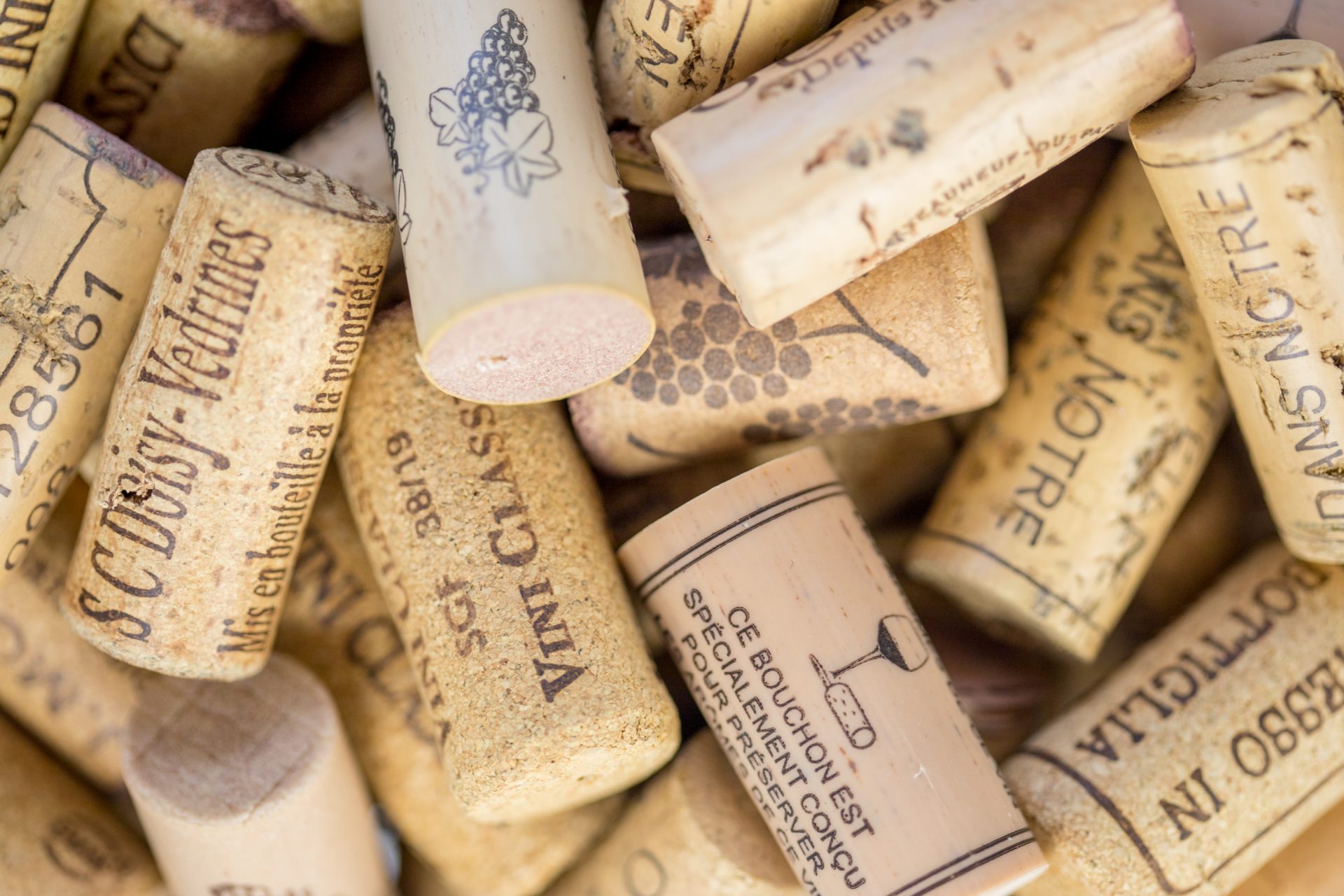 Nicks German Kitchen | Modern German Fare in Charleston, South Carolina