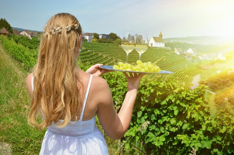 Explore the Enchanting German Wine Silvaner | Nicks German Kitchen